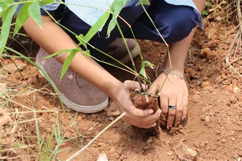 Project Prajna Indocert