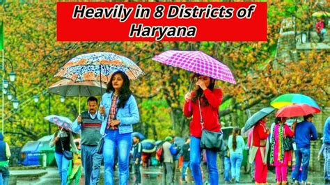 Haryana News It Rained Heavily In 8 Districts Of Haryana It Will Rain