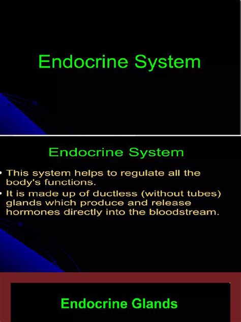 Endocrine System Overview Pdf