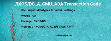 Ixosdcacmuada Sap Tcode For Adjust Datatypes For Admi Settings