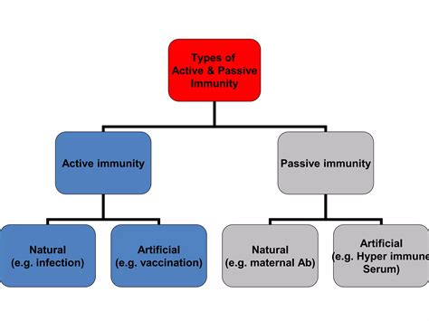 Types Of Immunityppt
