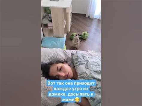 Наше утро) - YouTube