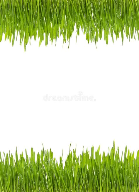 Grass Bottom Border