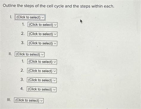 Solved Outline The Steps Of The Cell Cycle And The Steps Chegg
