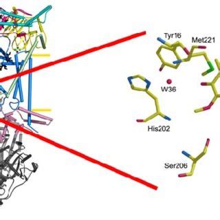 Left Structure Of Yeast Cyt Bc 1 Complex Protein Data Bank 1kb9 With