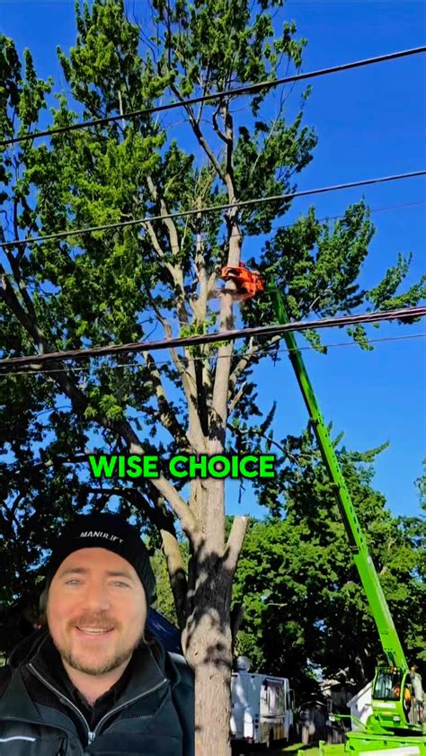 Merlo Greg Grapplesawgreg Merlo • Instagram Photos And Videos