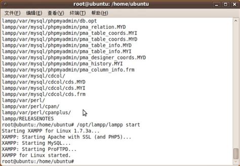 在linux上安装和使用xampp教程 Phppython 郑州网建