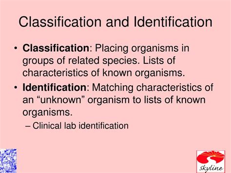 Ppt Ch 10 Taxonomy And Classification Powerpoint Presentation Free