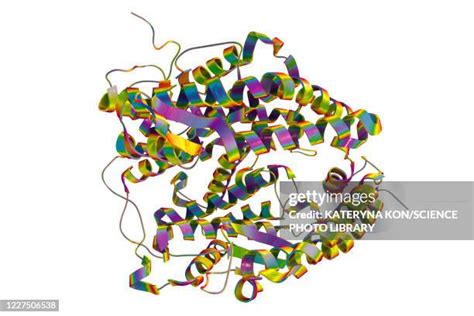 Receptor Photos And Premium High Res Pictures Getty Images