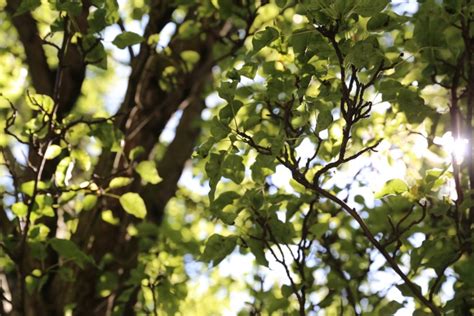 Past Is Only Useful As It Relates To Present Functioning Evolution