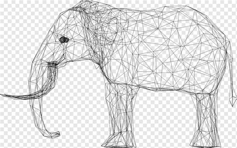 Wire Frame Model Website Wireframe Low Poly 3d Modeling Elephants 3d Computer Graphics Mammal
