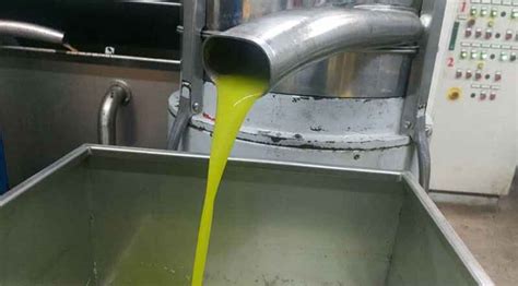 שמן זית סורי מכירה בגלונים של 16 קג