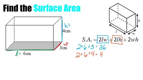 How To Calculate The Surface Area Of A Rectangular Box At Michael