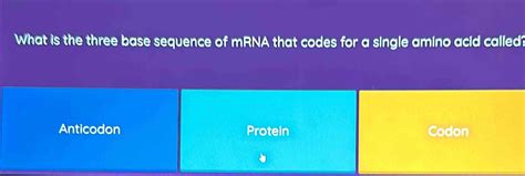 Solved What Is The Three Base Sequence Of Mrna That Codes For A Single