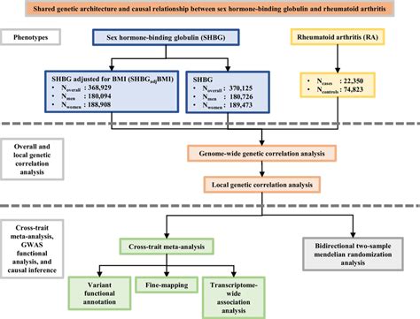 Flowchart Of The Overall Study Design We Investigated The Shared Download Scientific Diagram