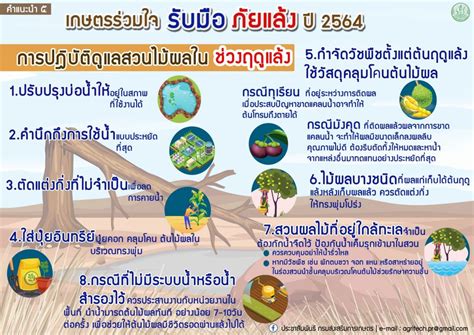 กรมส่งเสริมการเกษตรแนะวิธีดูแลรักษาต้นไม้ผลในช่วงฤดูแล้ง สำนักงานเลขานุการกรม