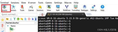 远程工具神器之mobaxterm （小白必看） Csdn博客
