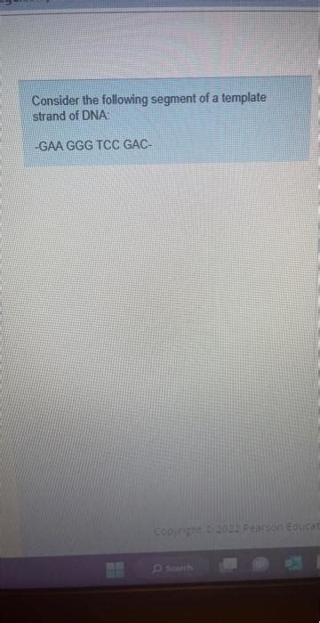 solved consider the following segment of a template strand