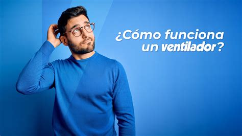 Tipos De Aspas En Ventiladores De Techo Guía De Colocación Y Consejos