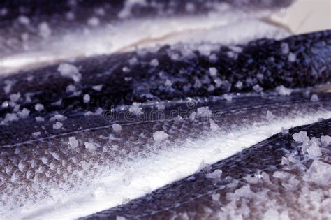 Close Up Of Fish Skin And Scales With Sea Salt Abstract Macro