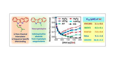 Sequence Specific Dual Dna Binding Modes And Cytotoxicities Of N 6 Functionalized