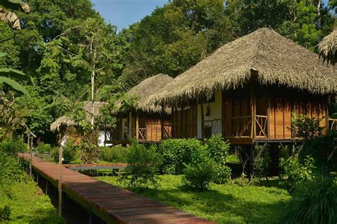 Top 5 Ecuador Amazon Lodges Gulliver Expeditions