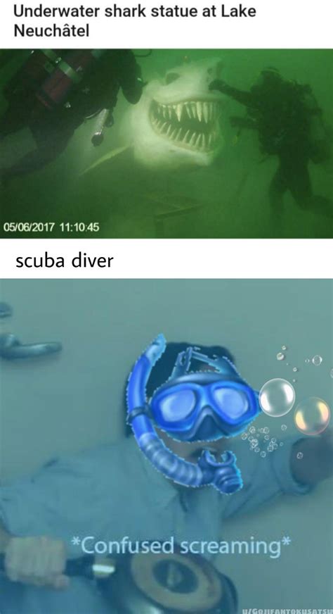 Blub Blub R Memes