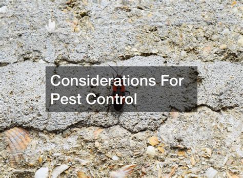Considerations For Pest Control Remodeling Magazine