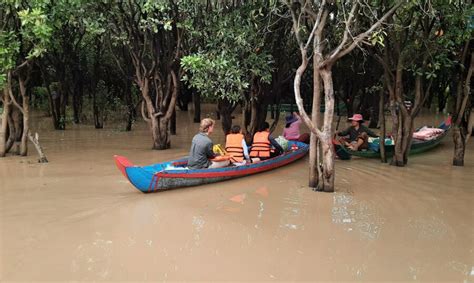 ទូក កាណូតជាង៨០០គ្រឿង