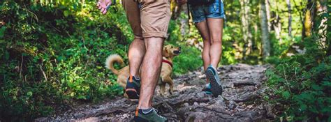 6 rutas de senderismo para hacer con perros Vegetánea