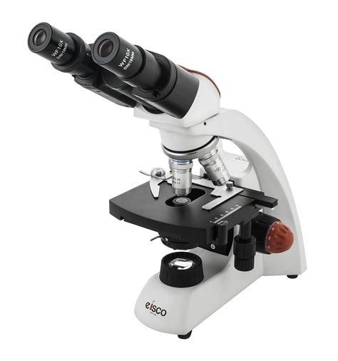 Fine Adjustment Microscope At Ruby Vannatter Blog