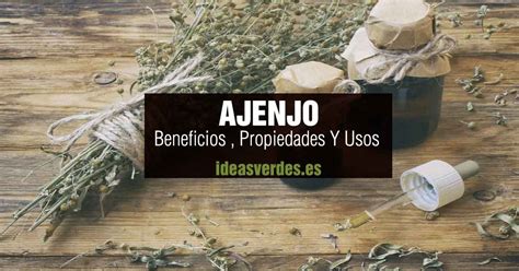 Ajenjo Propiedades Beneficios Y Usos Ideas Verdes