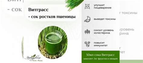 Витграсс купить в Калининграде с доставкой | Товары для дома и дачи | Авито