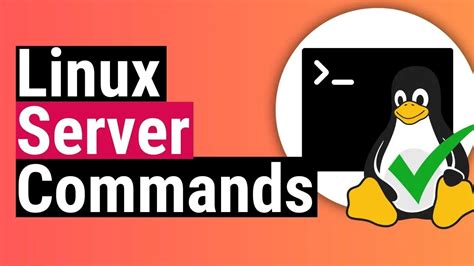 Most Useful Linux Server Commands For Beginners