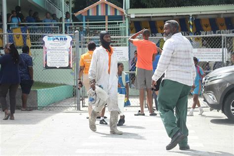 Bees Prompt Early Closure Of Wilkie Cumberbatch Primary Barbados Today