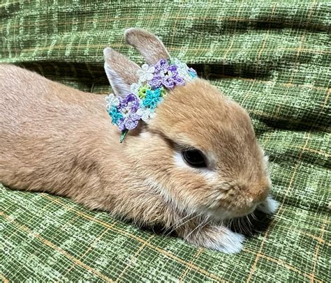 うさぎちゃんの花冠を試作してみました 大阪市住吉区 楽しむためのクレイクラフト教室粘土で作る枯れないお花アトリエアッサム