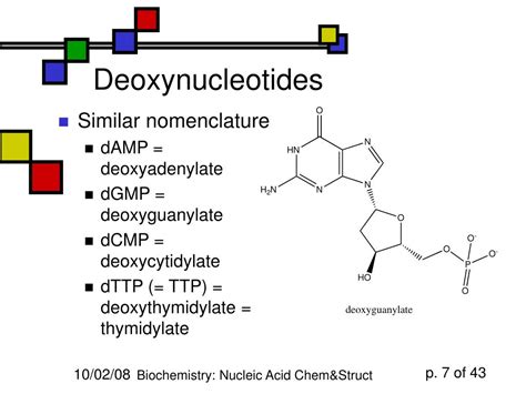 Ppt Nucleic Acid Chemistry And Structure Powerpoint Presentation Id4502962