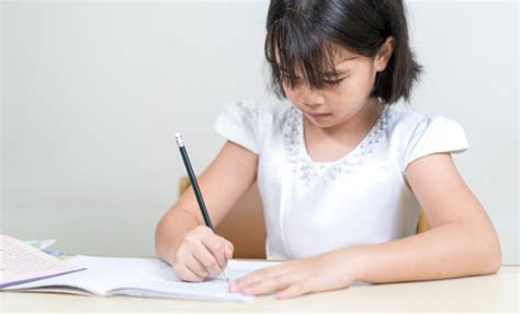 Step By Step Guide How To Write A Good Argumentative Essay