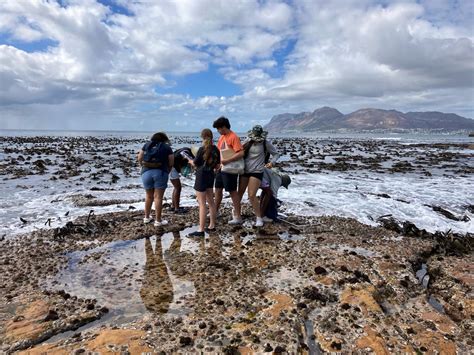 Grade 10 Pupils Embark On Rocky Shore Field Trip