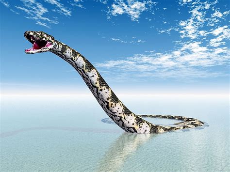 What Was The Titanoboa WorldAtlas
