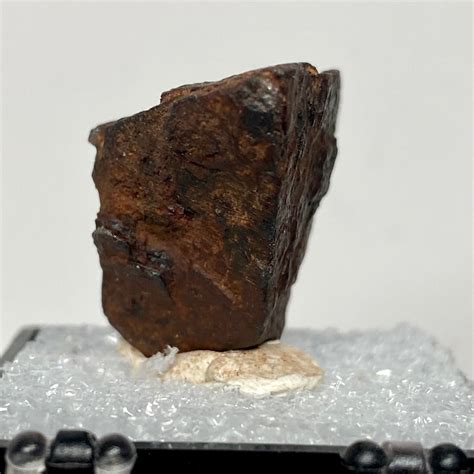 Gibeon Meteorite Iron Nickel Meteorite Gibeon Namaland Namibia Nharo
