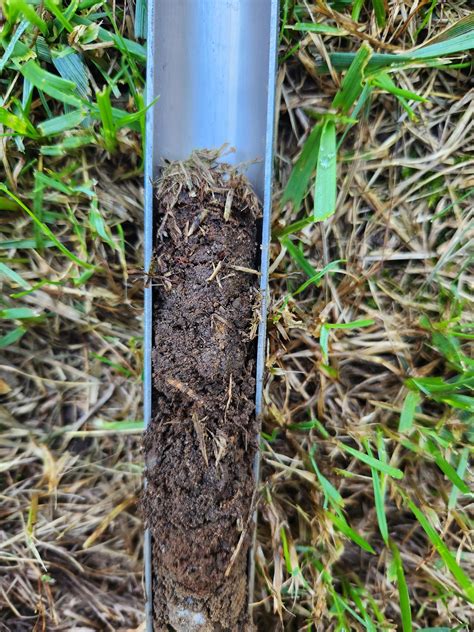 Best Way To Remove Dead Grass Lawn Care Forum