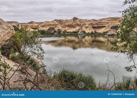 Oasis From Rain Water In Desert Stock Image 183741979
