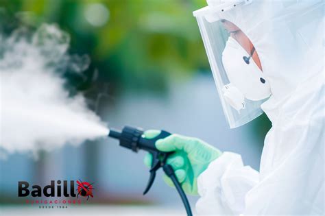 Fumigación Profesional Con Productos De Alta Calidad Fumigaciones Badillo