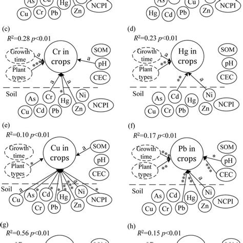 The Relationships Of Soil Trace Elements Soil Physicochemical