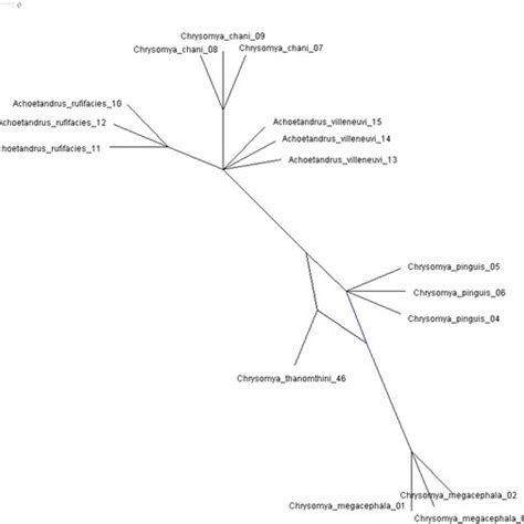 Marcel Verhoff Director Prof Dr Med University Hospital