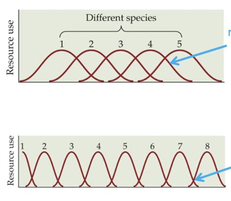 Exam 3 Biodiversity And Coexistence Flashcards Quizlet