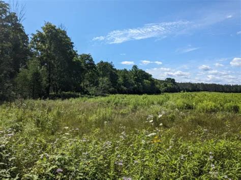 10 Best Trails And Hikes In Brantford Alltrails