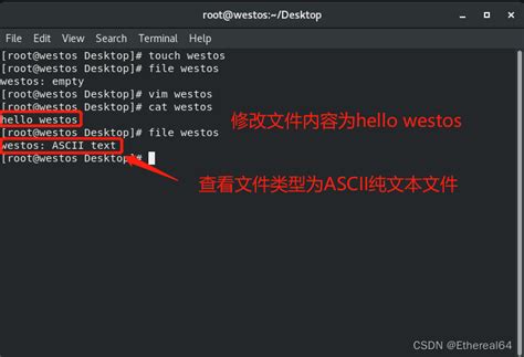 Linux系统中的文件管理linux系统下文件管理 Csdn博客