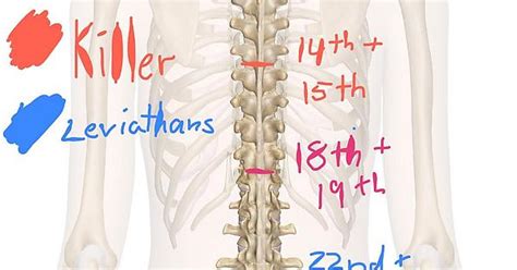 Leviathantale Thing Album On Imgur